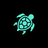 Coinbase - Turtle.fan - Onchain App (Social)